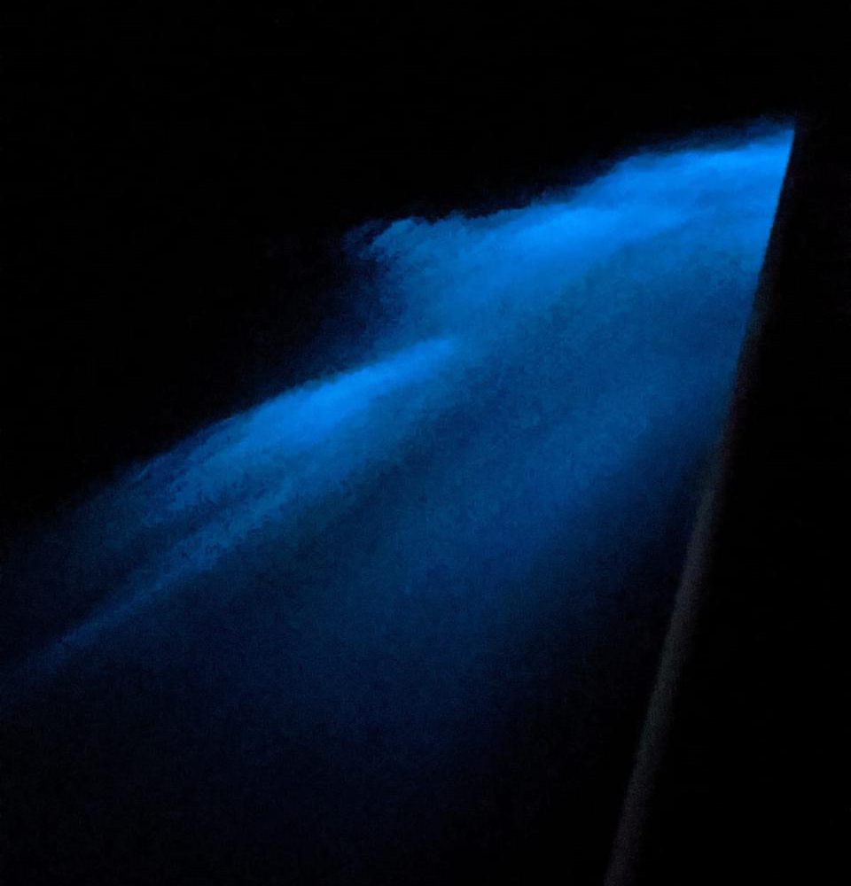 Book Tortuga island & Bioluminescence Tour - 25% Discount
